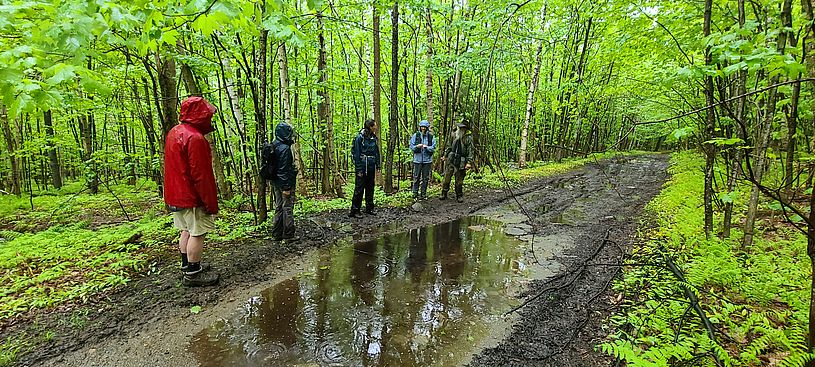 Woodlots Structure - The Woodlots Toolkit by CHC